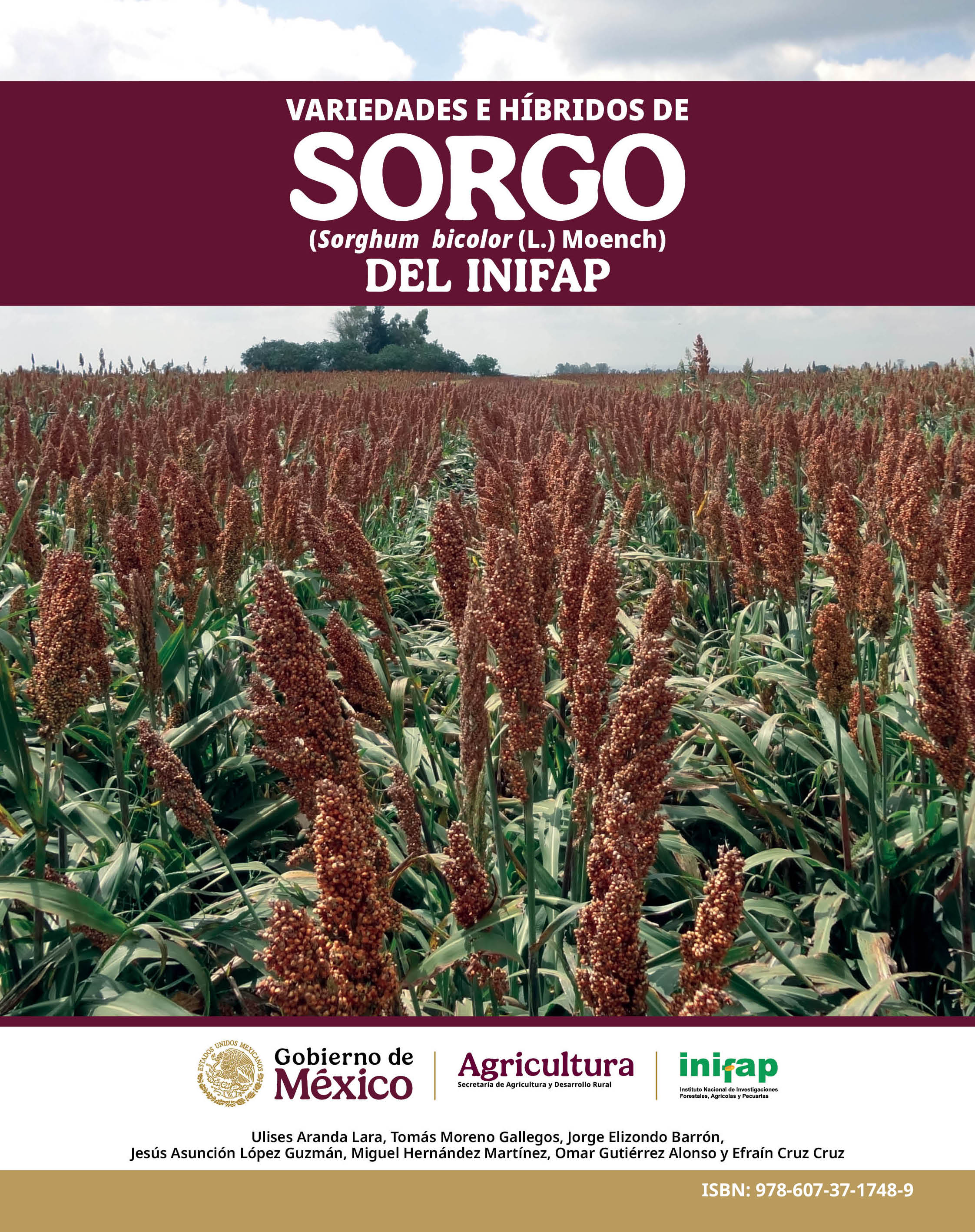 Instituto Nacional de Investigaciones Forestales, Agrícolas y Pecuarias ...